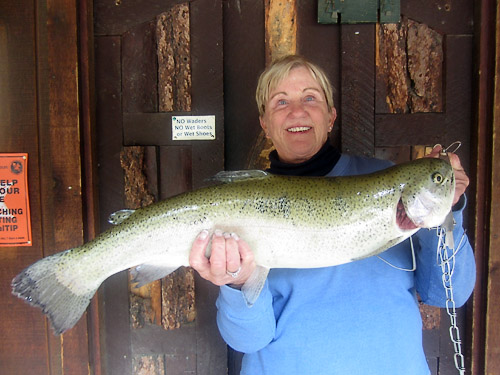 Virginia Lakes Resort Fishing Report